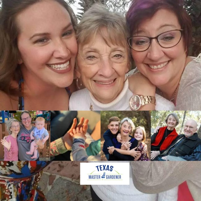 Carol Weitzel Obituary - Phoenix, AZ