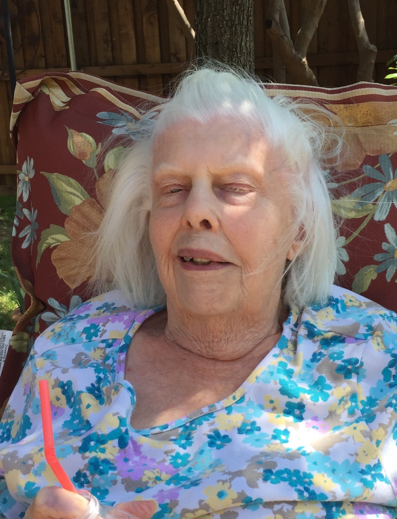 Susan Ackerman's Instagram, Twitter & Facebook on IDCrawl