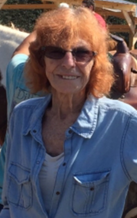 Susan Brasel Obituary - Sarasota, FL