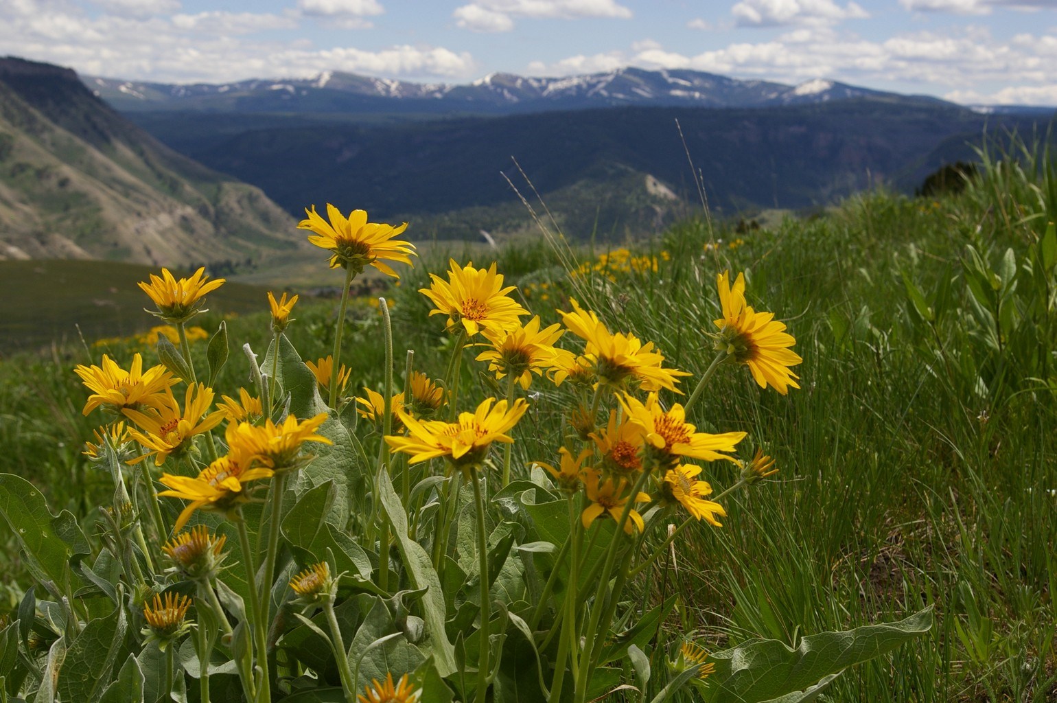 Margaret Ann Caudill Obituary - Marietta, GA