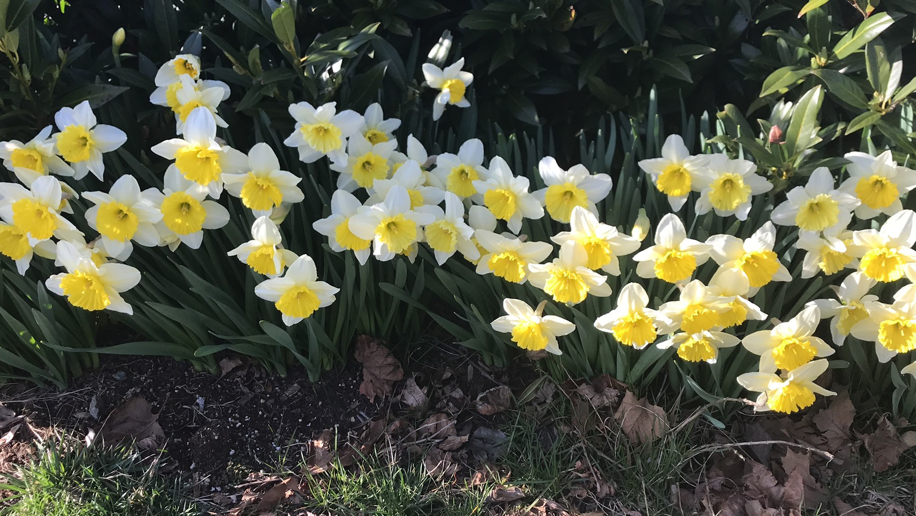 Anne Bucher Obituary - Silver Spring, MD