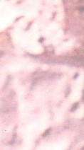 Mario Romero Obituary - Houston, TX Mario Romero Obituary - Houston, TX