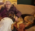 Find Obituaries & Funeral Services | Neptune Cremation Service