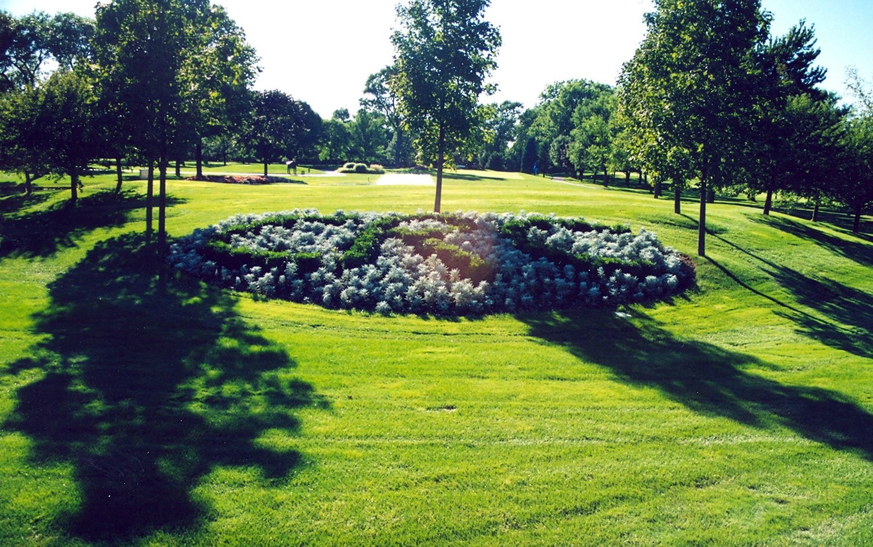 Marie Hanigan Obituary - Oak Lawn, IL