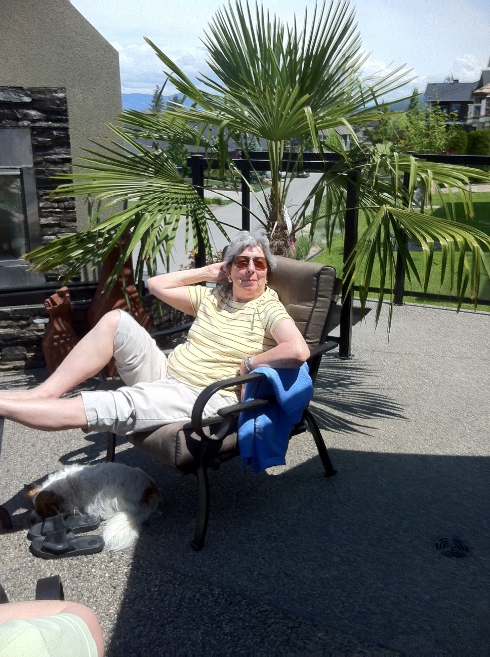 Carol Steele Obituary - Calgary, AB