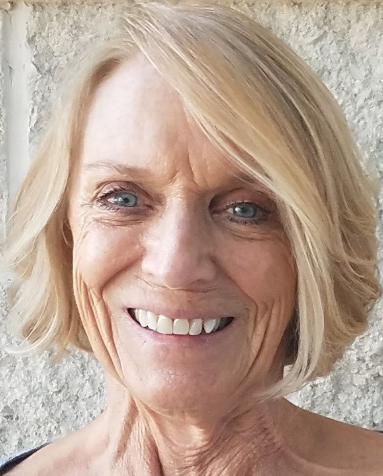 Debra Brantingham Obituary - Sarasota, FL