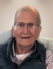 Kenneth Vander Ark Obituary - Arlington Heights, IL