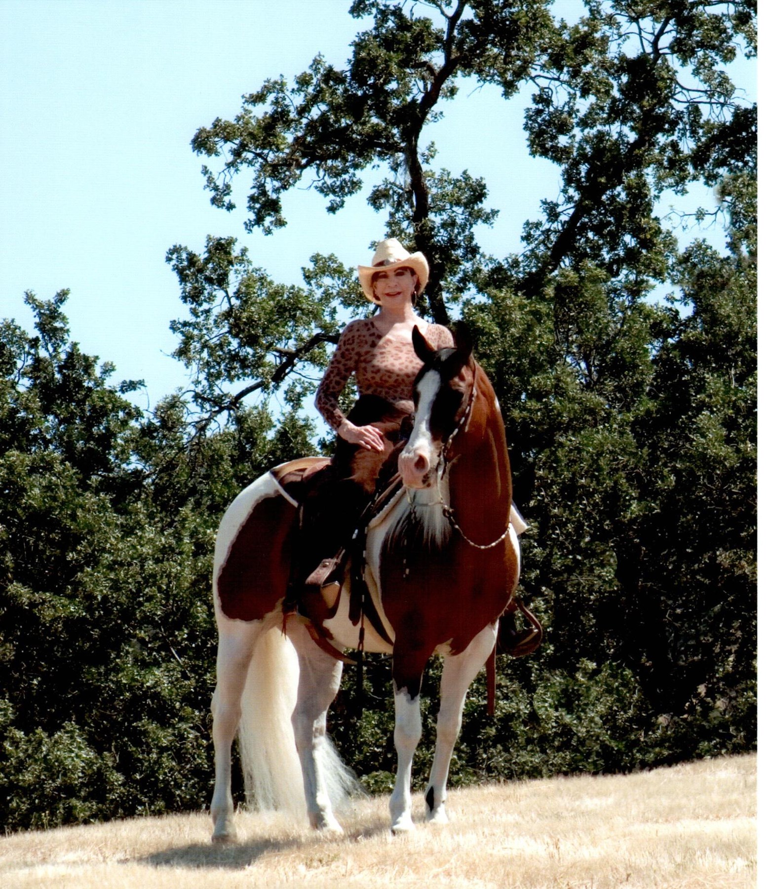 Donna Harcourt Obituary - Paso Robles, CA