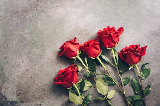 Catherine Rupp Obituary - Catonsville, MD