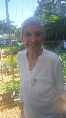 Lucy Taibi Obituary - Hollywood, FL