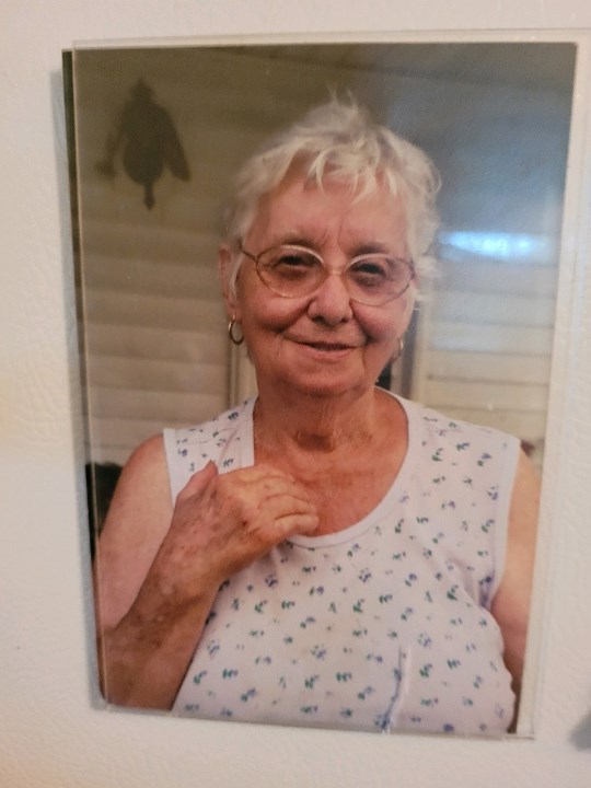 Dorothy Sabo Obituary - Crown Point, IN