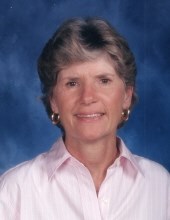 Mary Fleischli Obituary - Springfield, IL