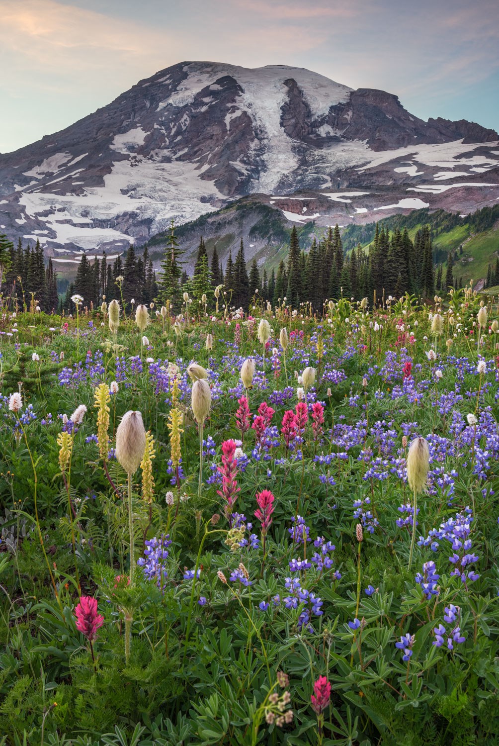 Alice Maduzia Obituary - Seattle, WA