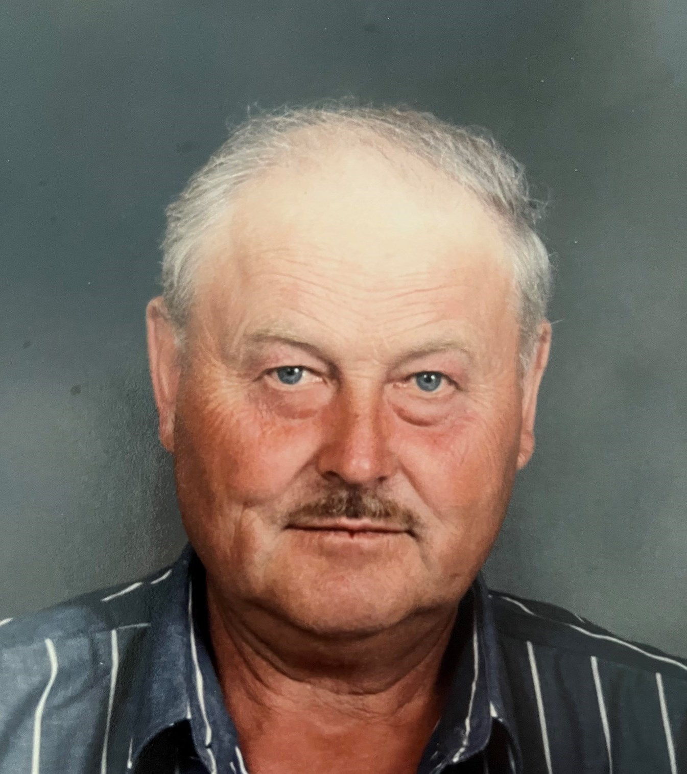 William Kaluzny Obituary - Navin, MB