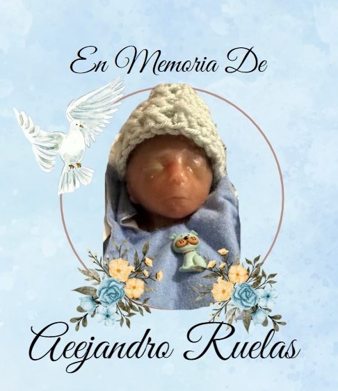 Alejandro Ruelas Obituary - Oxnard, CA