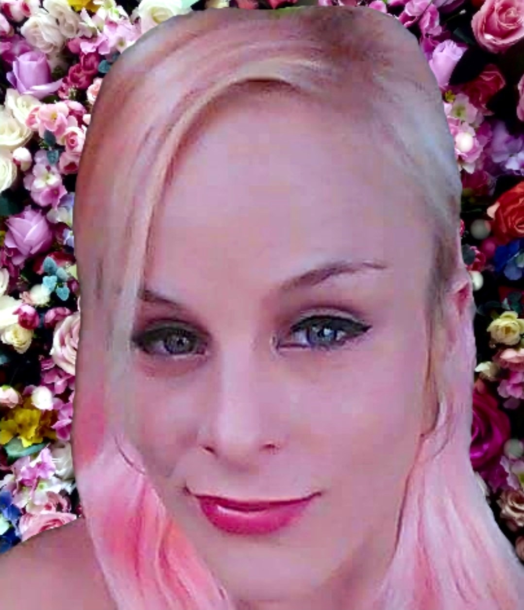 Bridget Howarth Obituary - Seminole, FL