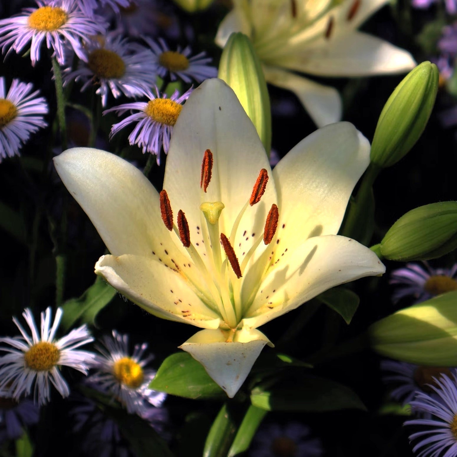 Judy Reel Obituary - Yuma, AZ