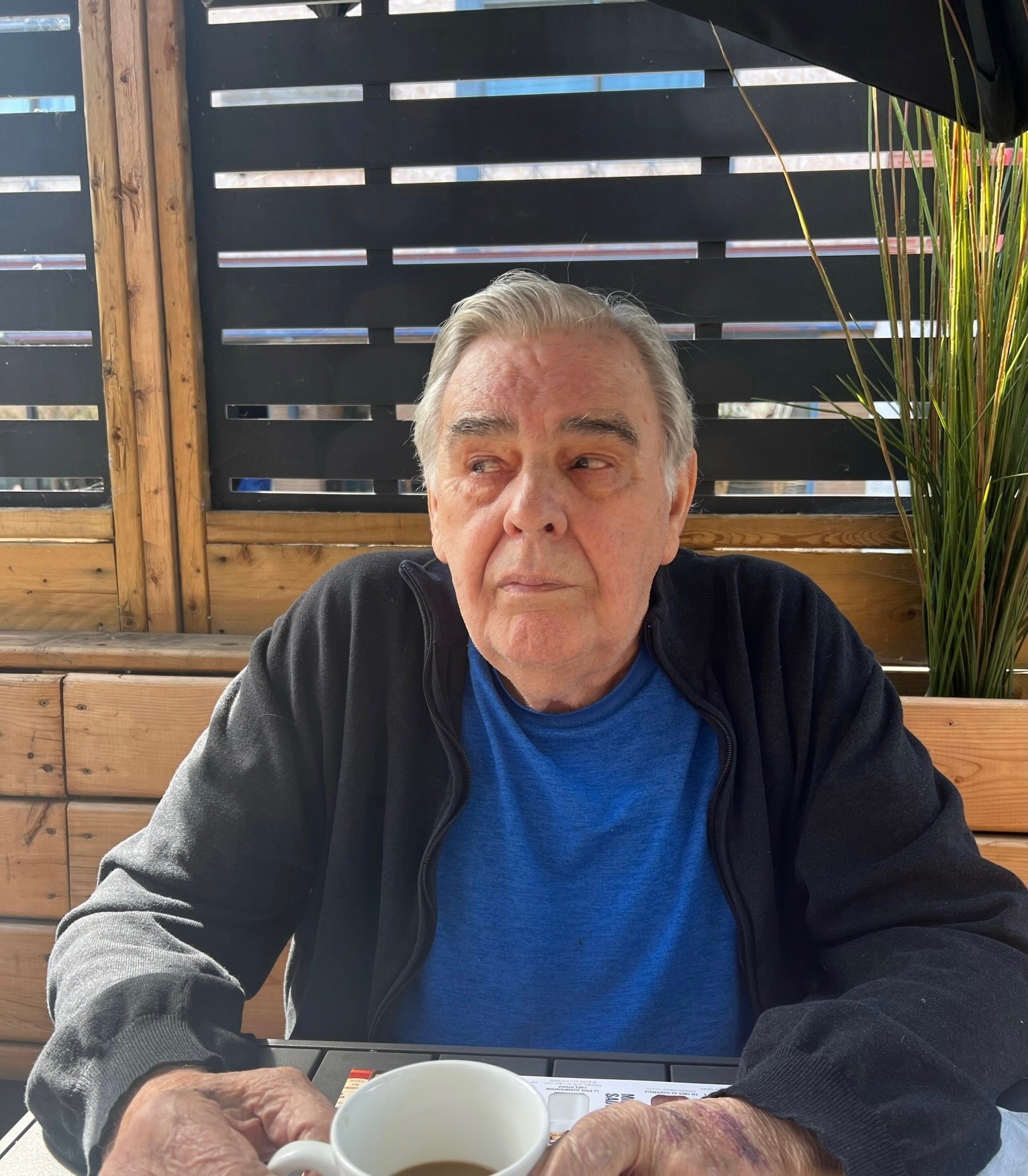 Robert Darcy Gagnon Obituary - Pointe-Claire, QC