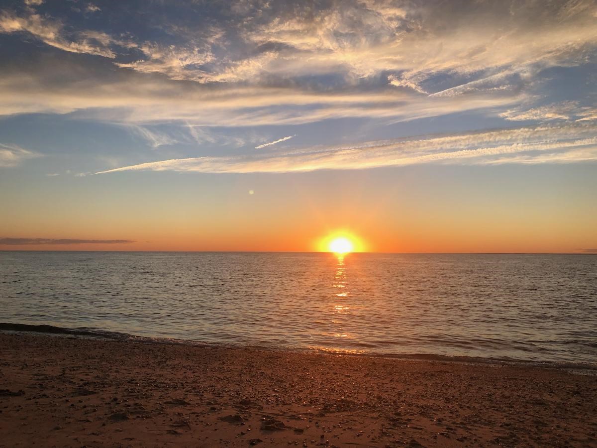 Audrey Stein Obituary - Hackensack, NJ