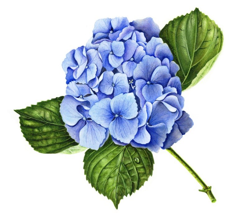 Mary Millin Obituary - Norwood, MA