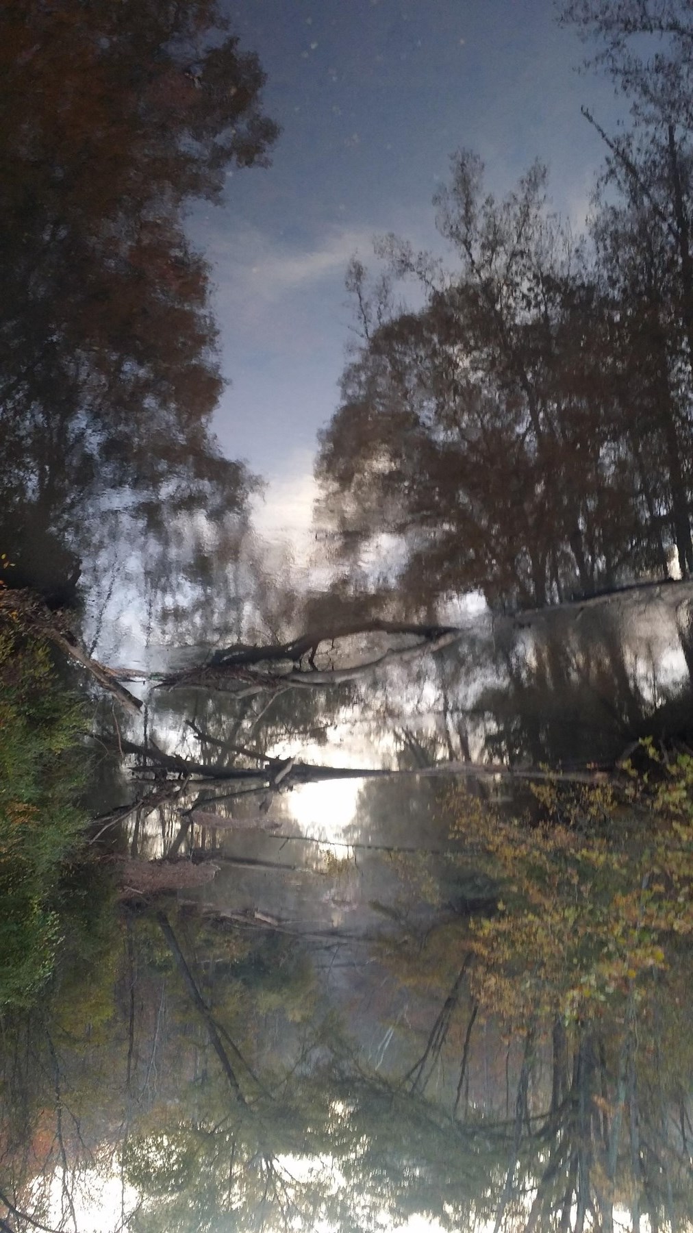 Archie Wayne Parker Obituary - New Tazewell, TN