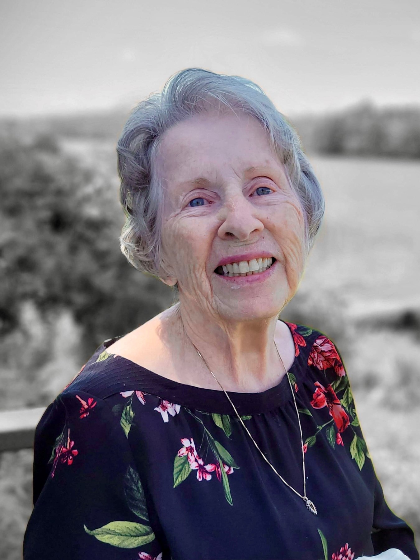 Virginia Hambly Obituary - Dartmouth, NS