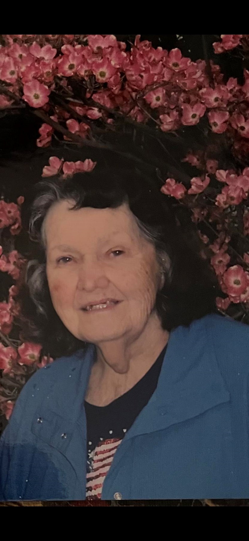 Darline Spink Obituary - Arnold, MO