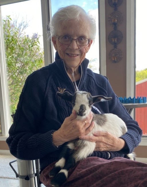 Carol Kreiter-Lindquist Obituary - Davenport, IA