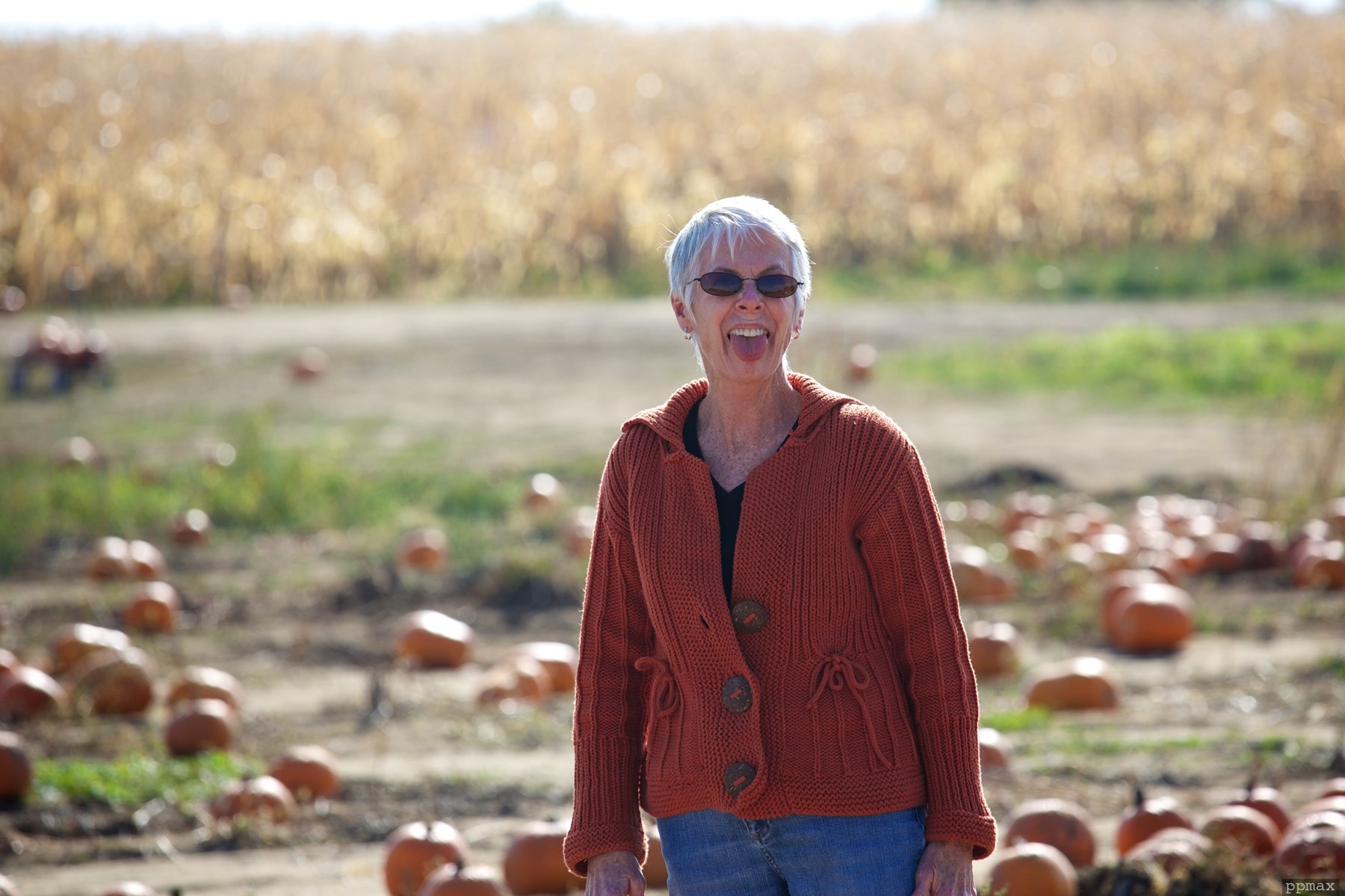 Phyllis Perreault Obituary - Boulder, CO
