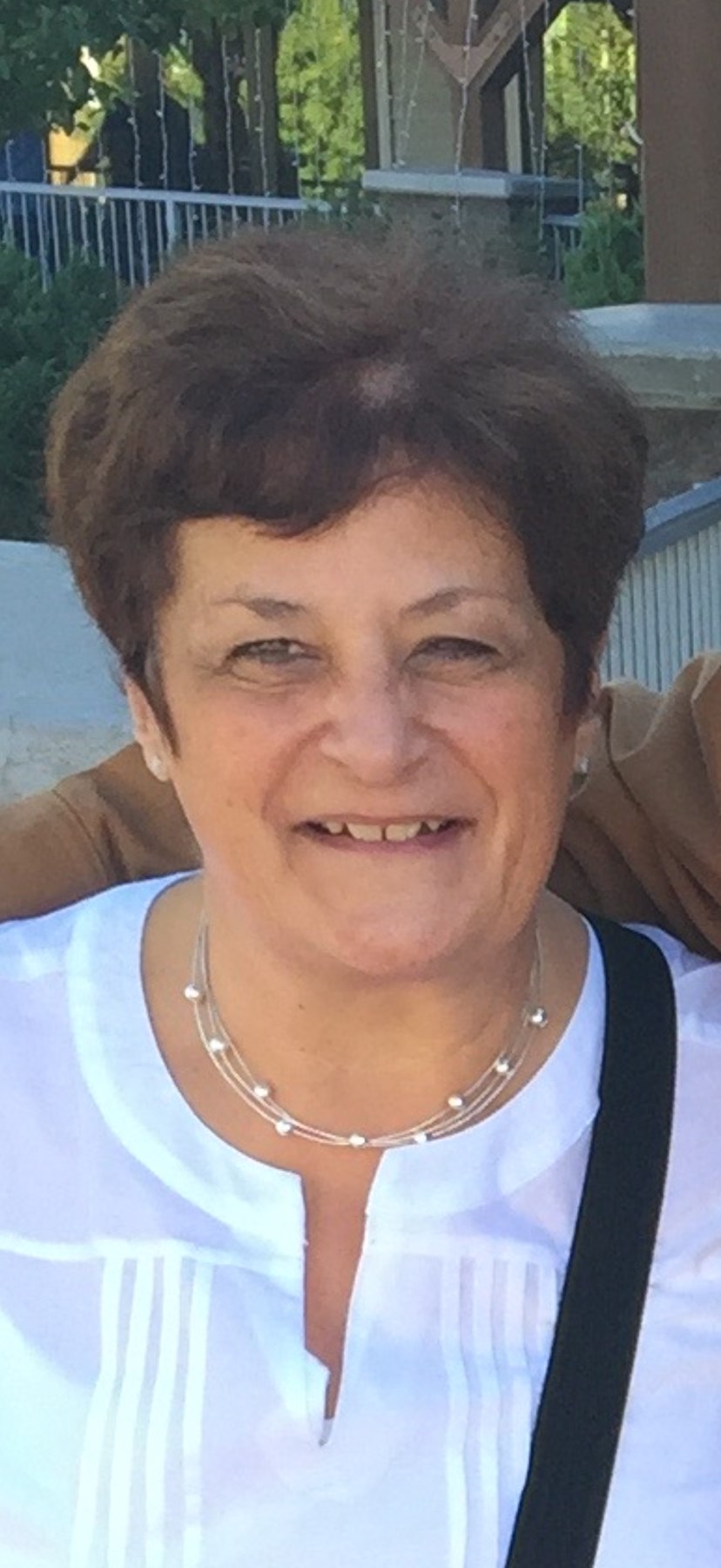 Linda Heusler Obituary - East Amherst, NY