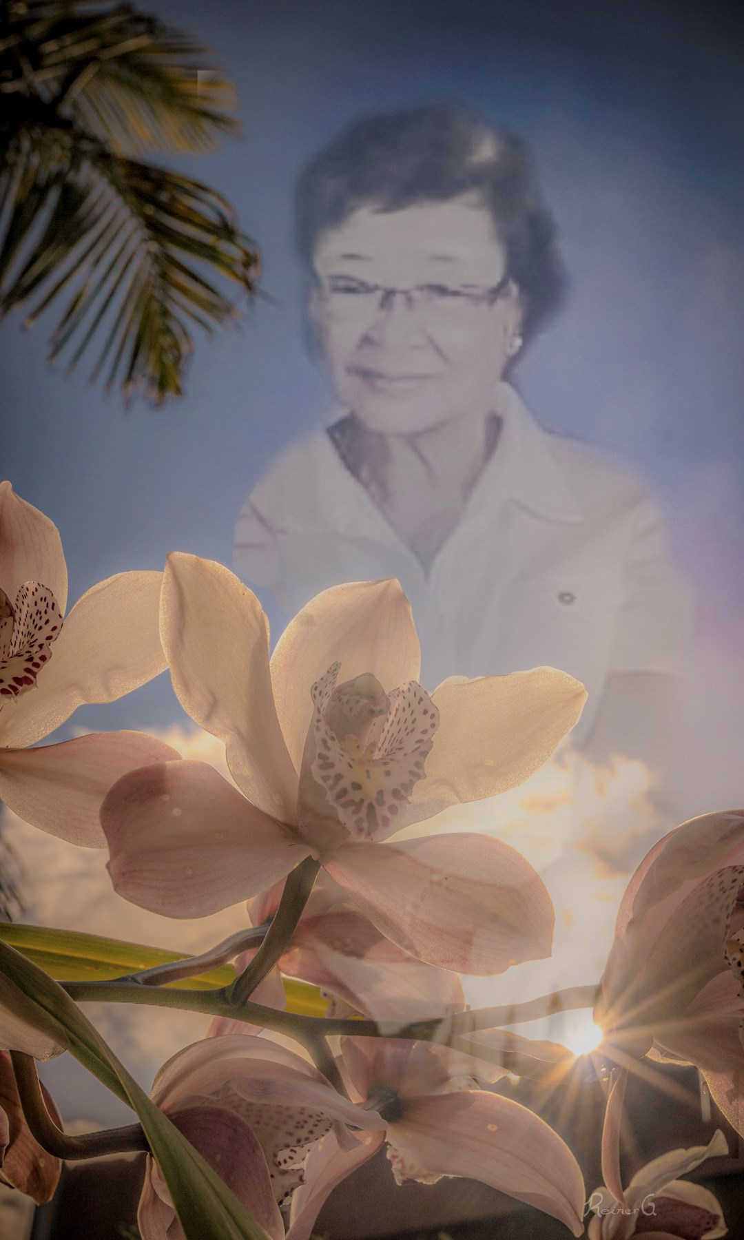 Soledad Francisco Romero Obituary - Bonita, CA