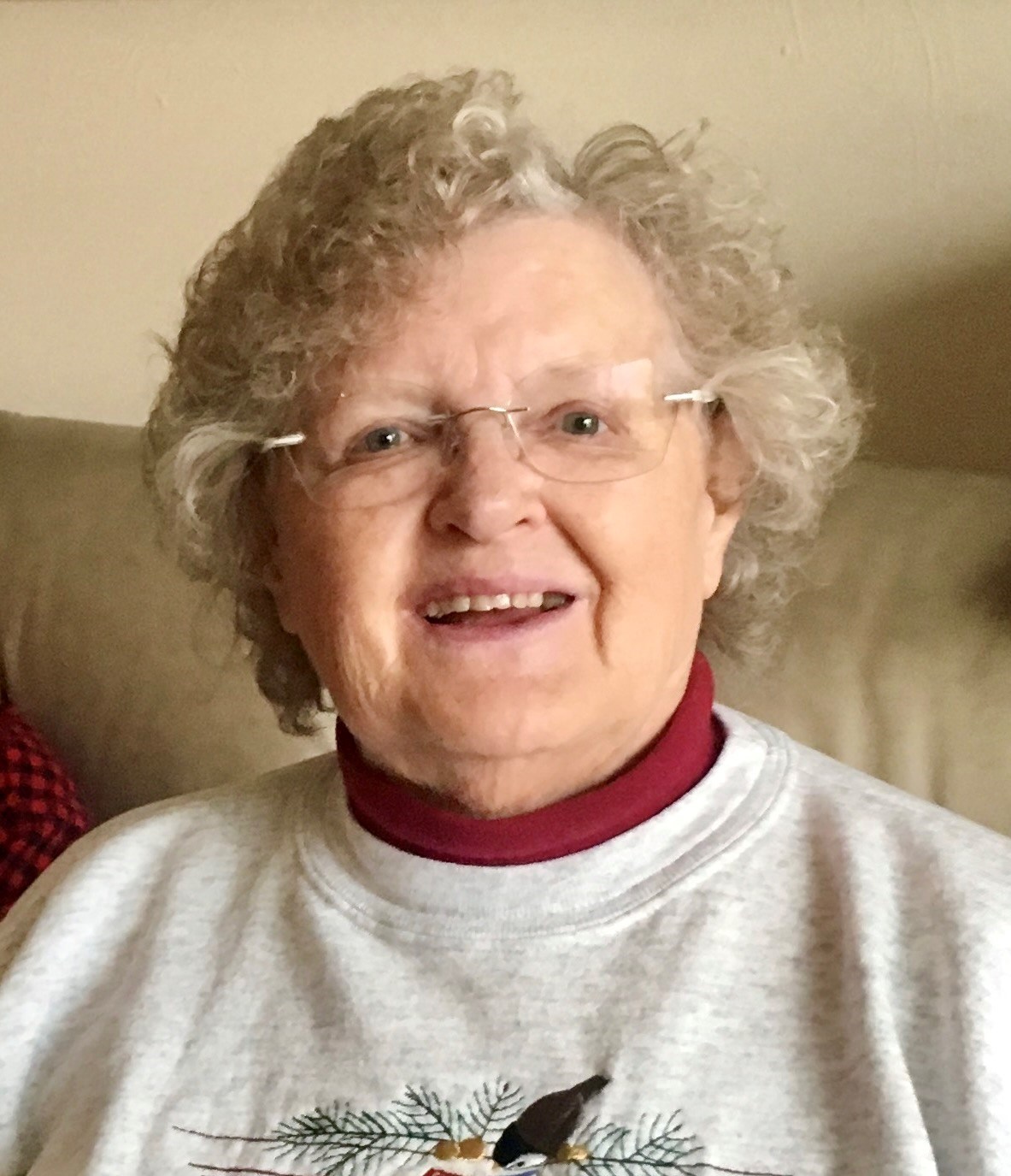 Carole Joy McDonald Obituary - Wheat Ridge, CO