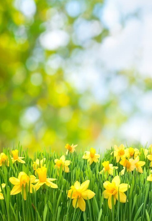 Robert Sekula avis de décès - Vancouver, BC