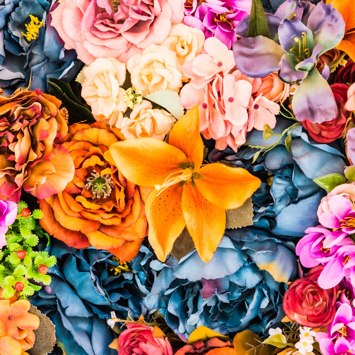 Lisa Baltz Obituary - Falls Church, VA