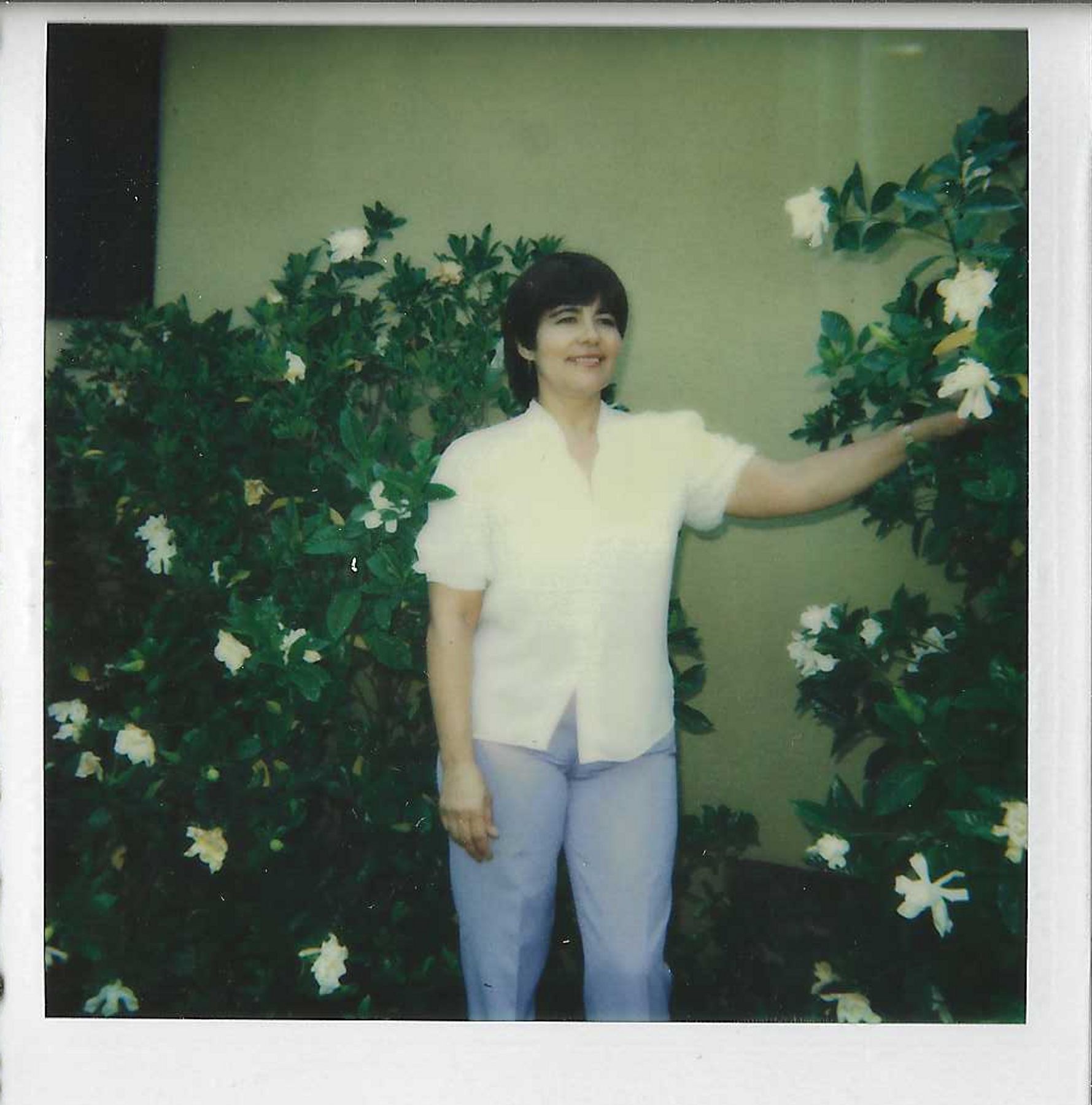 Senaida F Garcia Obituary - Bloomington, CA