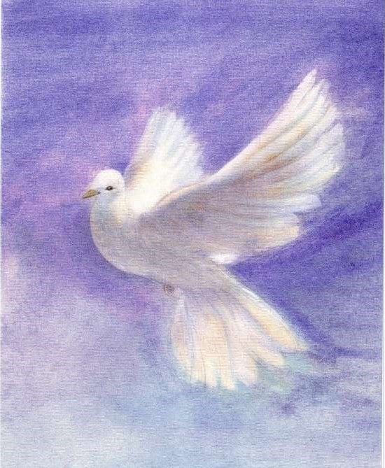 Richy Natarus Obituary - Brandon, FL