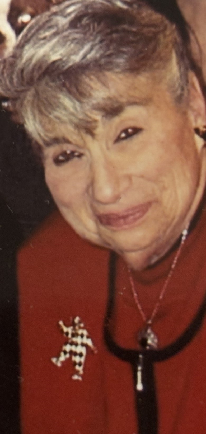 Marsha Wishner Obituary - Wilmette, IL