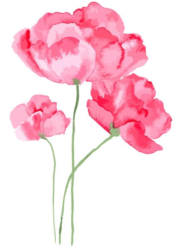 Hope Stern Obituary - Houston, TX
