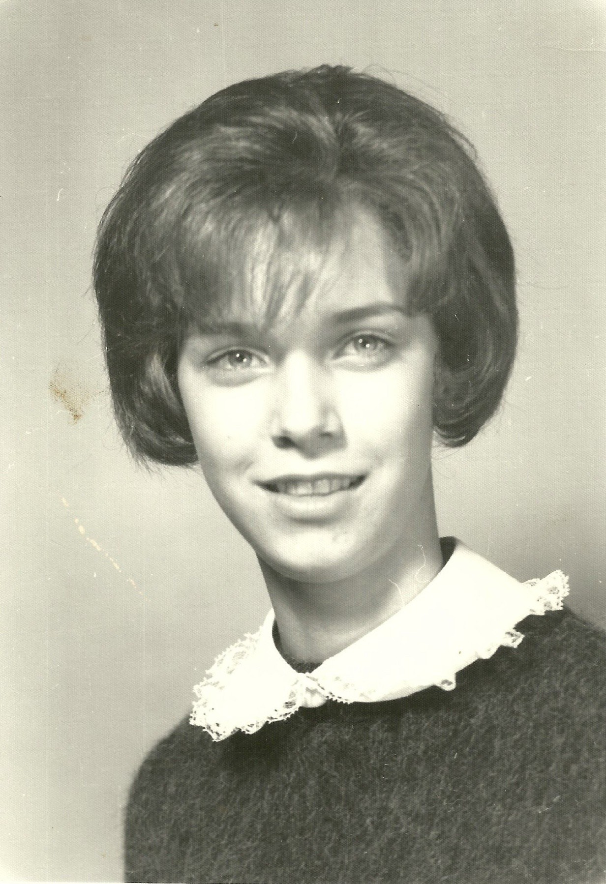 Sheila Segerson's Instagram, Twitter & Facebook on IDCrawl