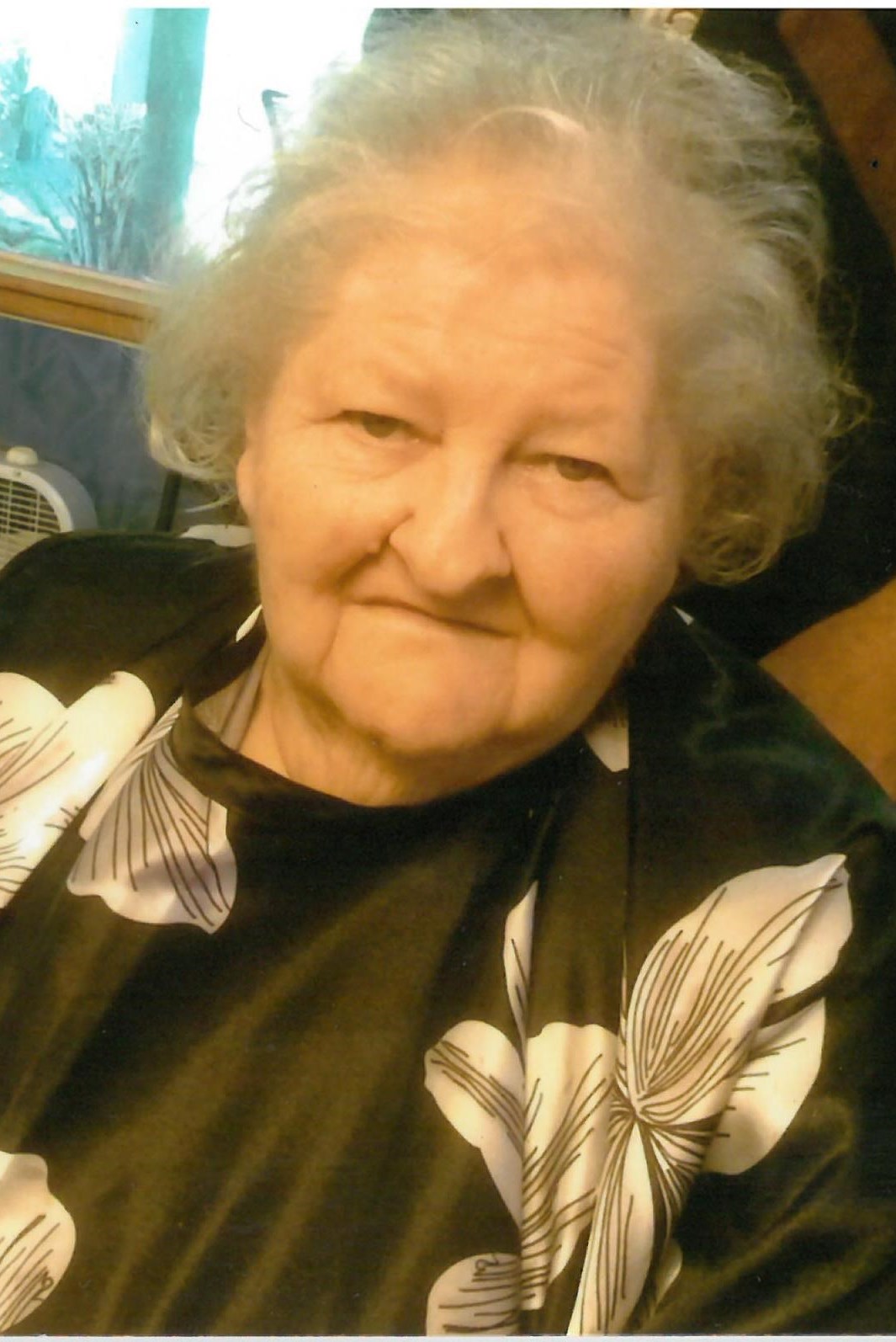 Barbara Ann Dorsey Obituary - Brandon, FL