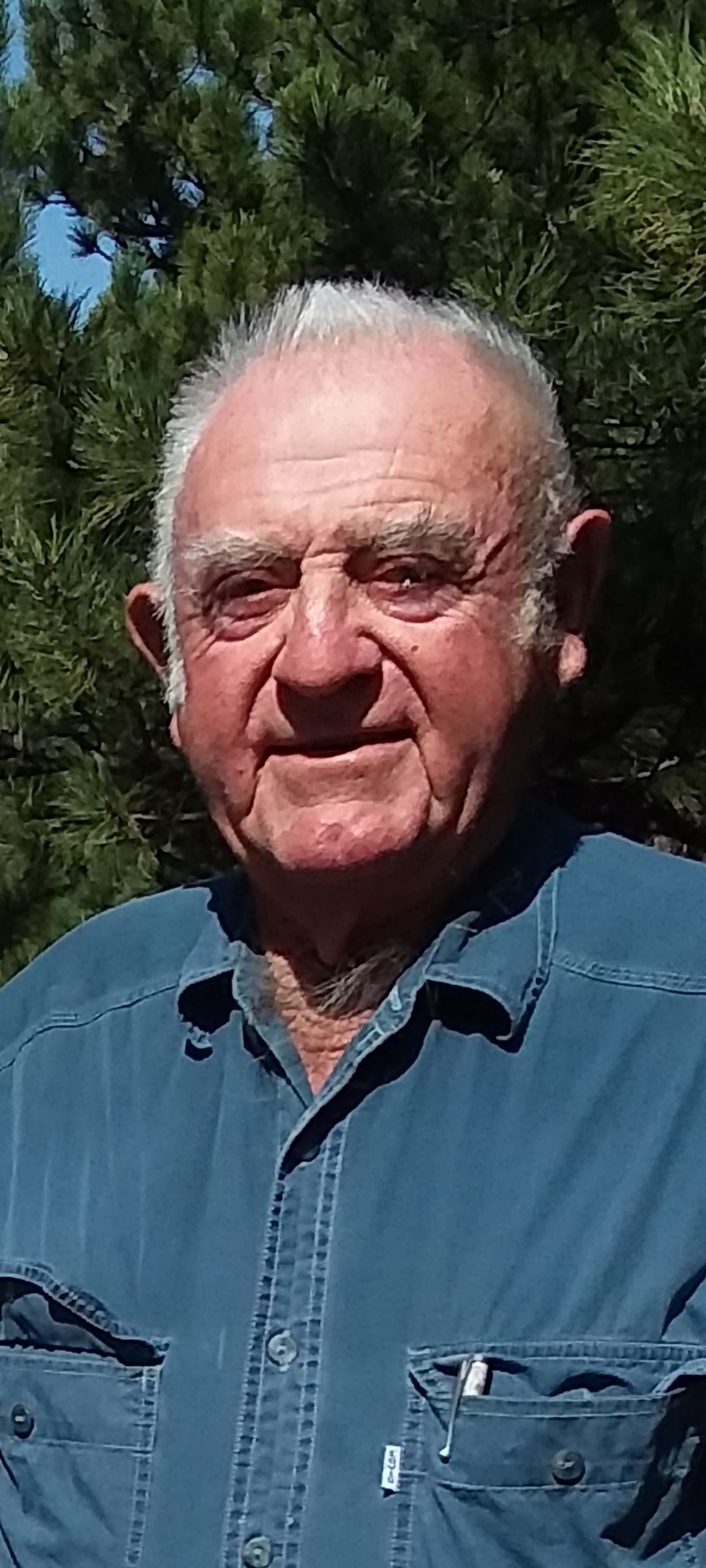Theodore Smith avis de décès - Colorado Springs, CO