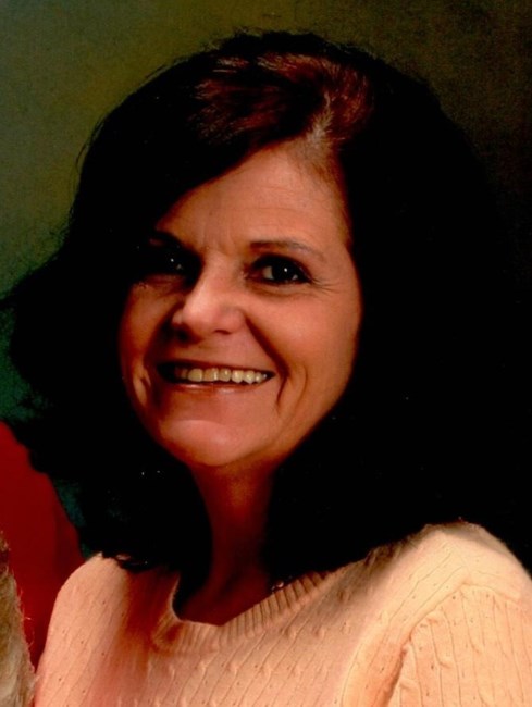 Cindy Collins Obituary - Sarasota, FL