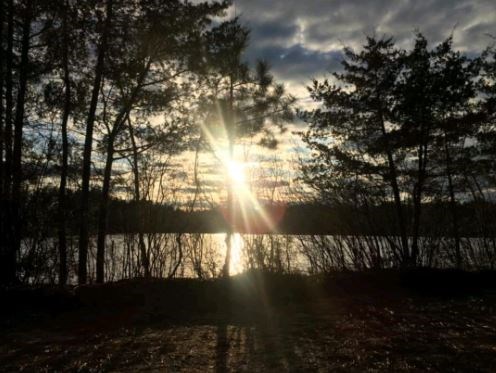 Thomas F Piro Obituary - Whiting, NJ