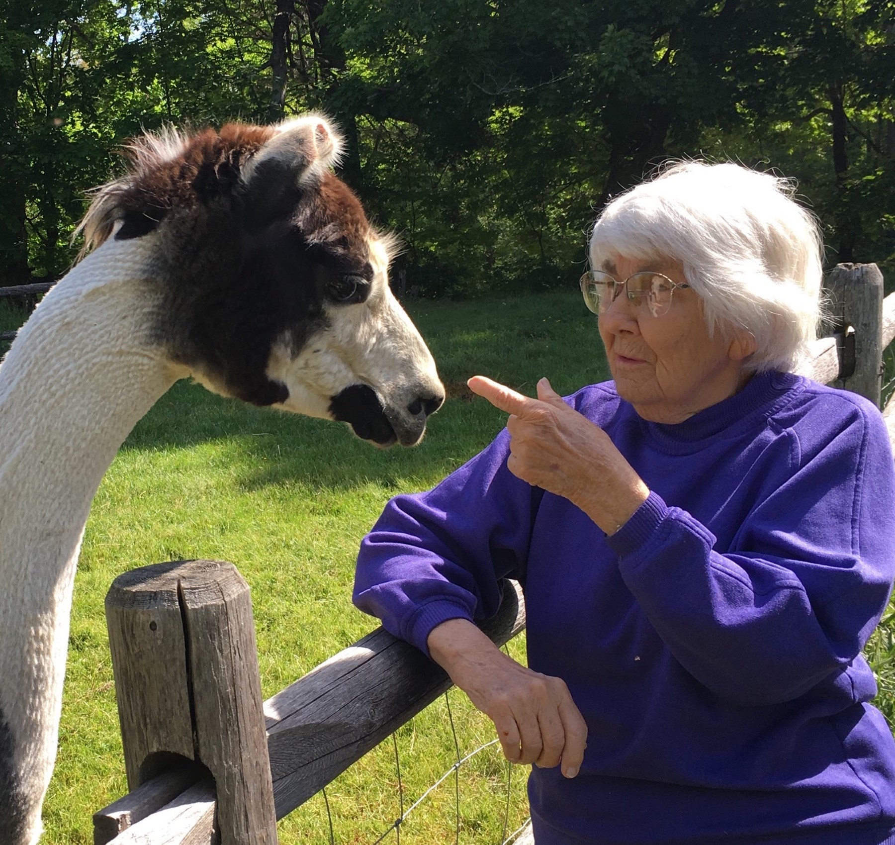 Mary Alice Fox Obituary - Keene, NH