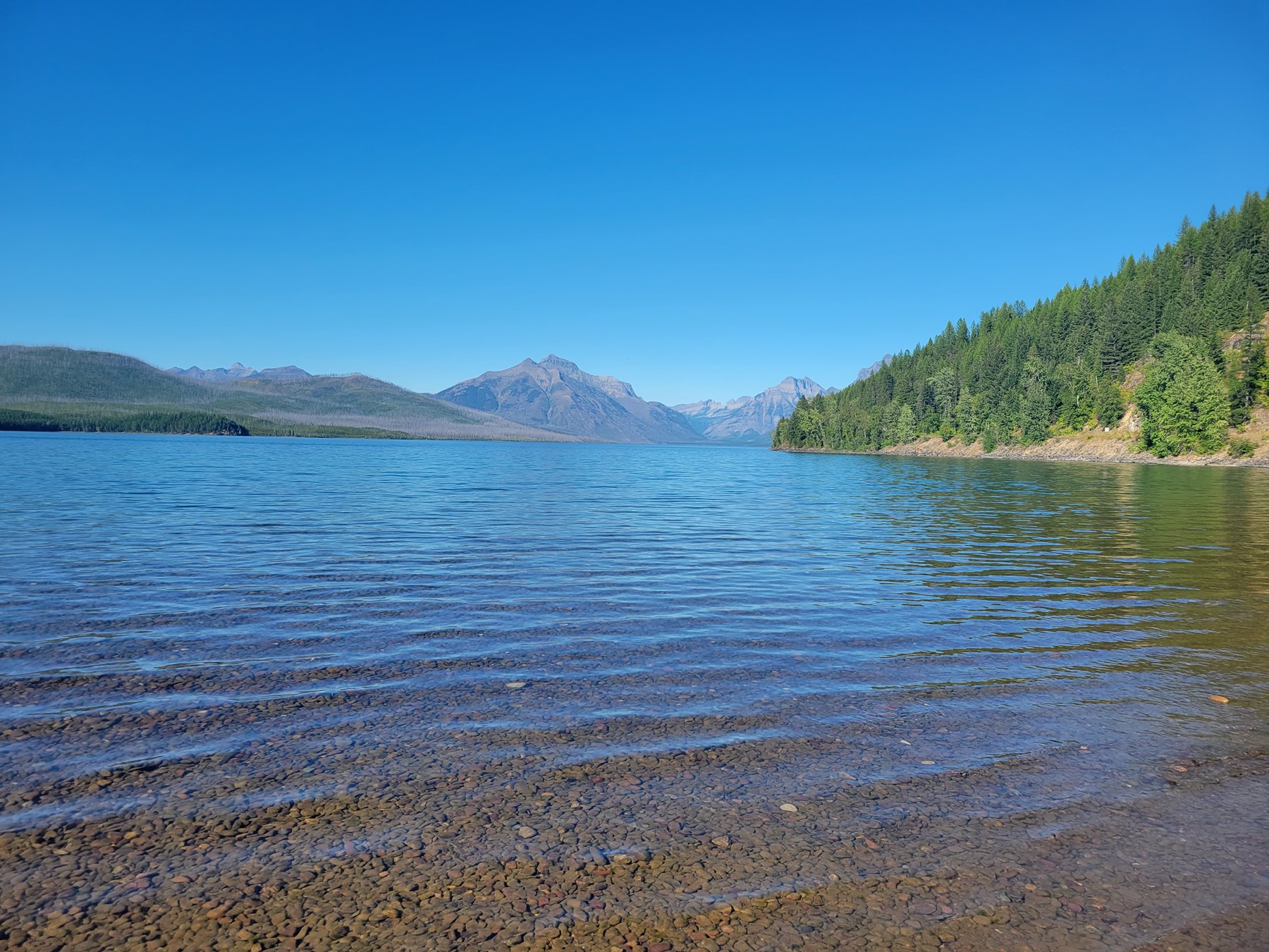 William Ellis Obituary - Bothell, WA