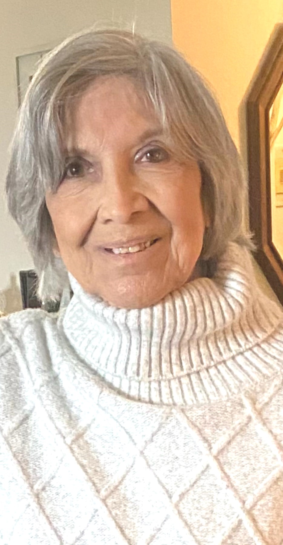 Eileen A. Sbrocco Obituary - Mayfield Heights, OH
