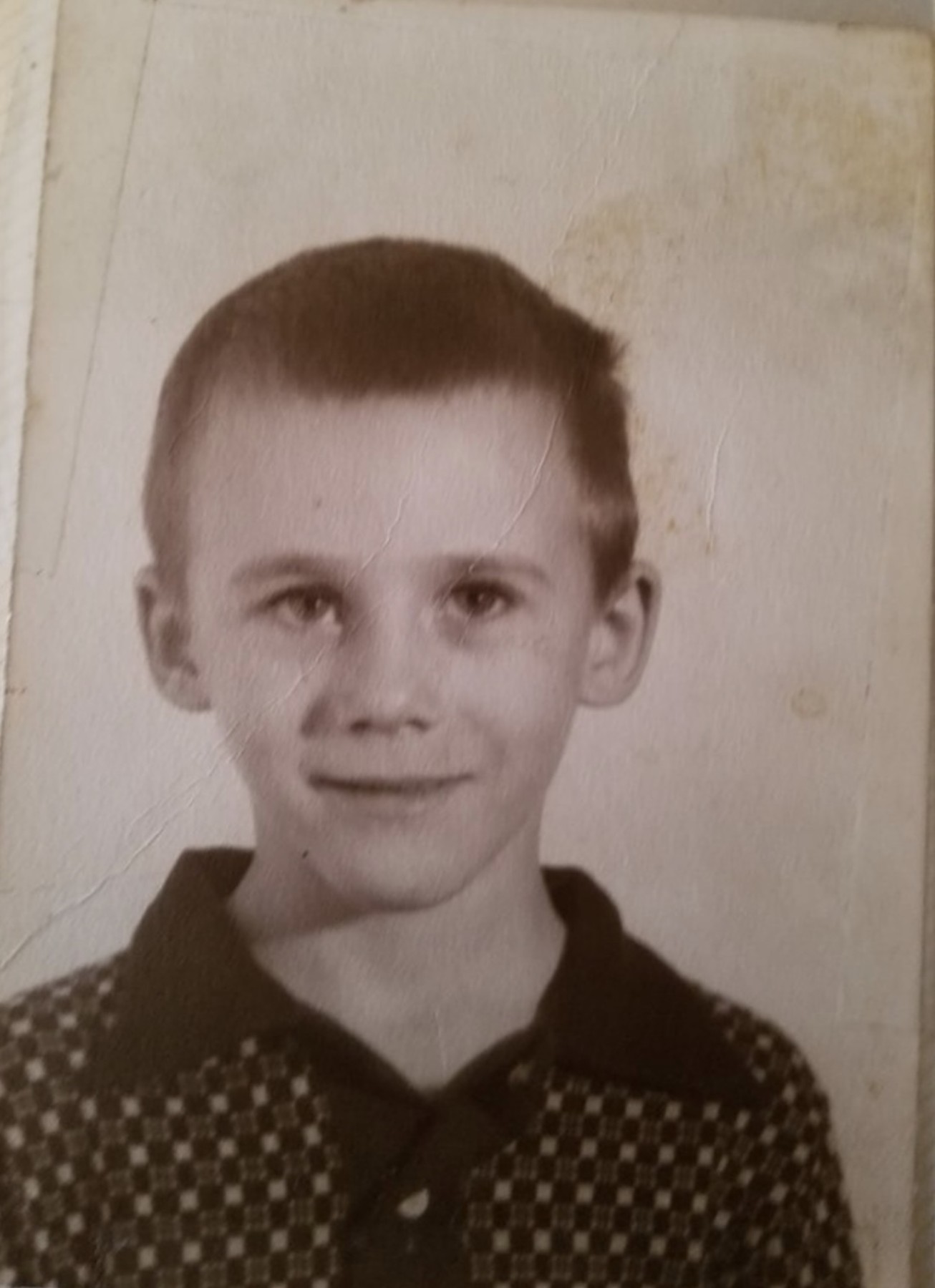 Sophia Rowe's Instagram, Twitter & Facebook on IDCrawl