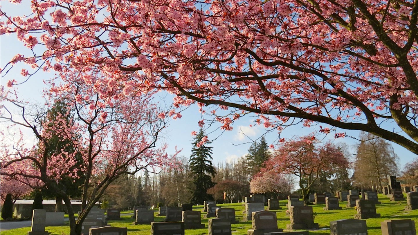 Hyunkil Harry Kim Obituary - Seattle, WA