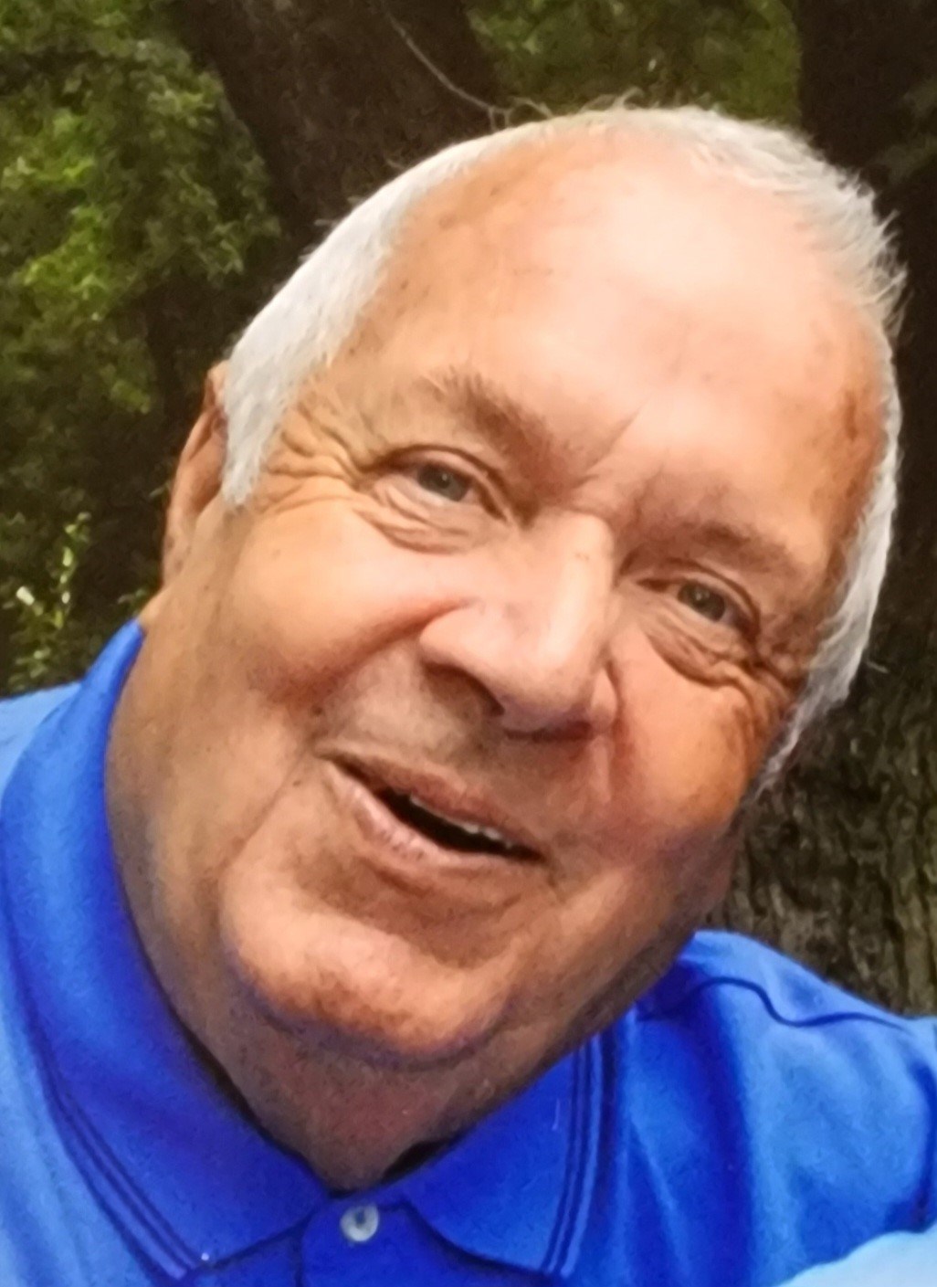Robert Fernandes, Obituary - Springfield, IL