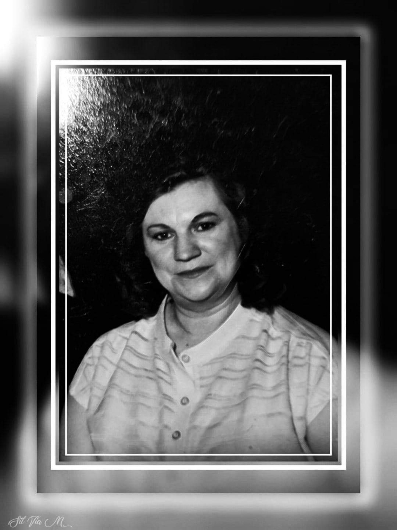 Mary Lynn Root Obituary - Chicago, IL